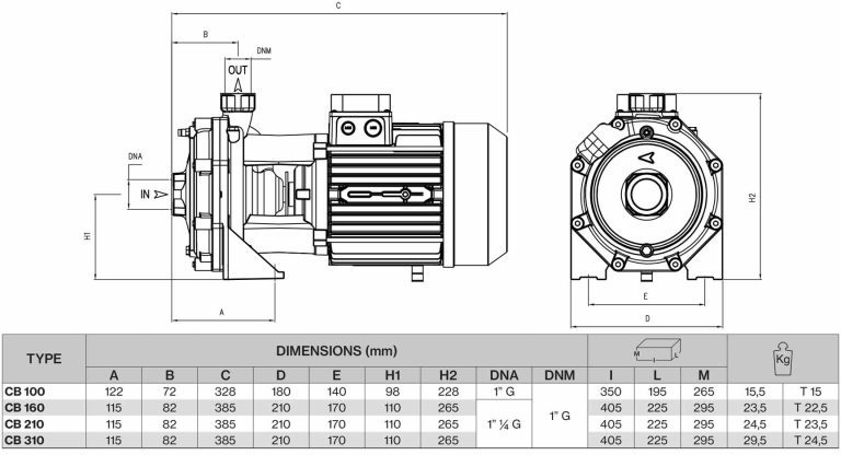 پمپ پنتاکس دو اسب دو پروانه برنجی PENTAX CB210/01 - آراد مخزن